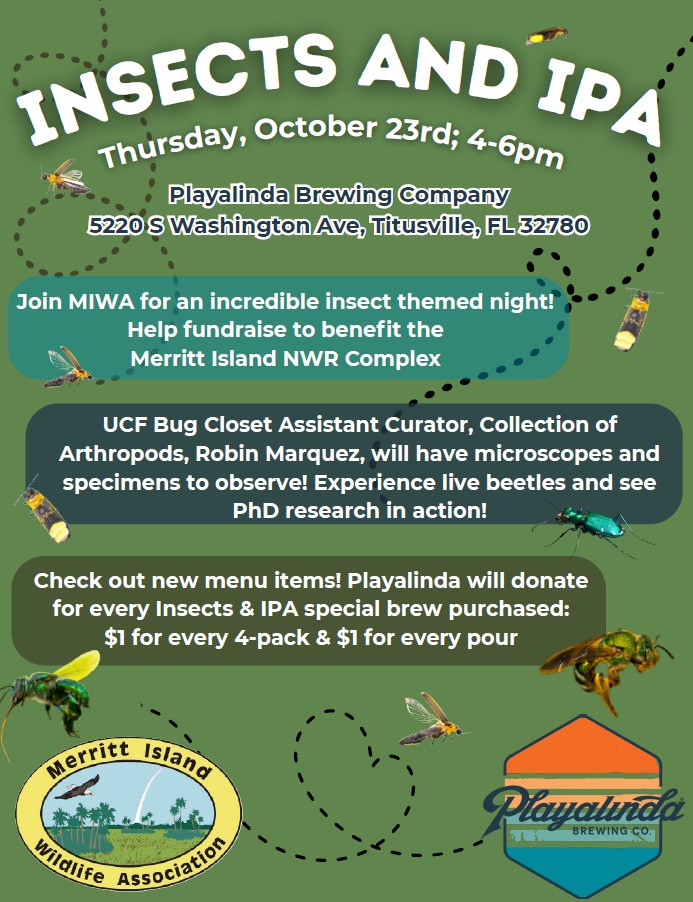 Insects and IPAs – Merritt Island Wildlife Association
